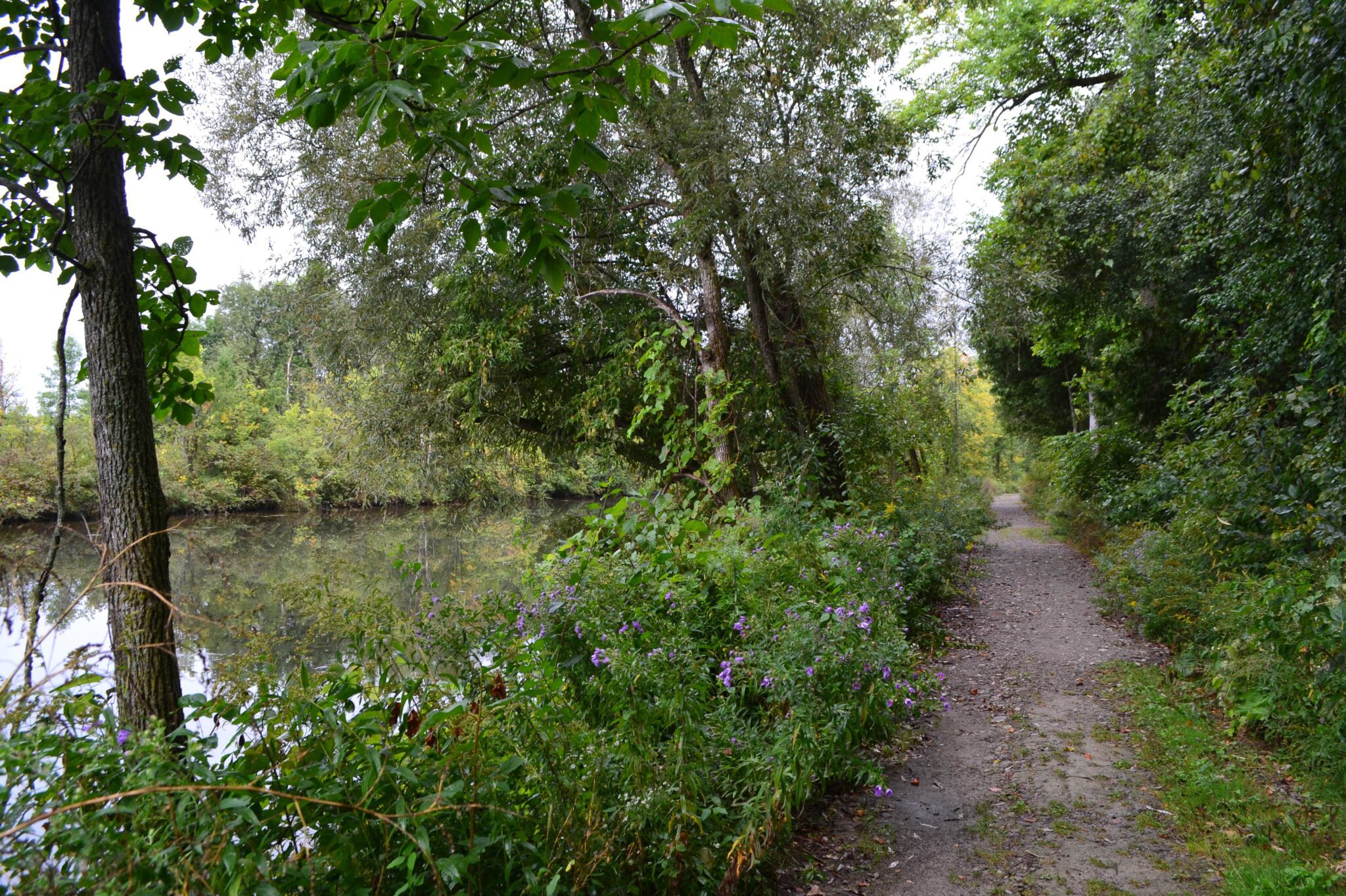 Small Town Canada Spotlight: The Tip to Tip Trail of Burritts Rapids ...